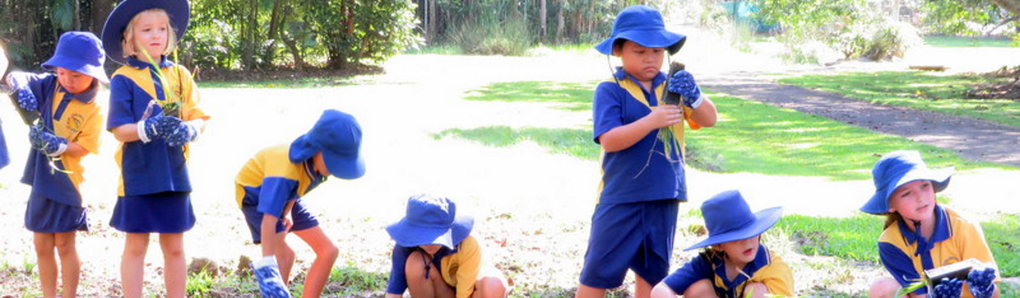 Flying Fish Point State School