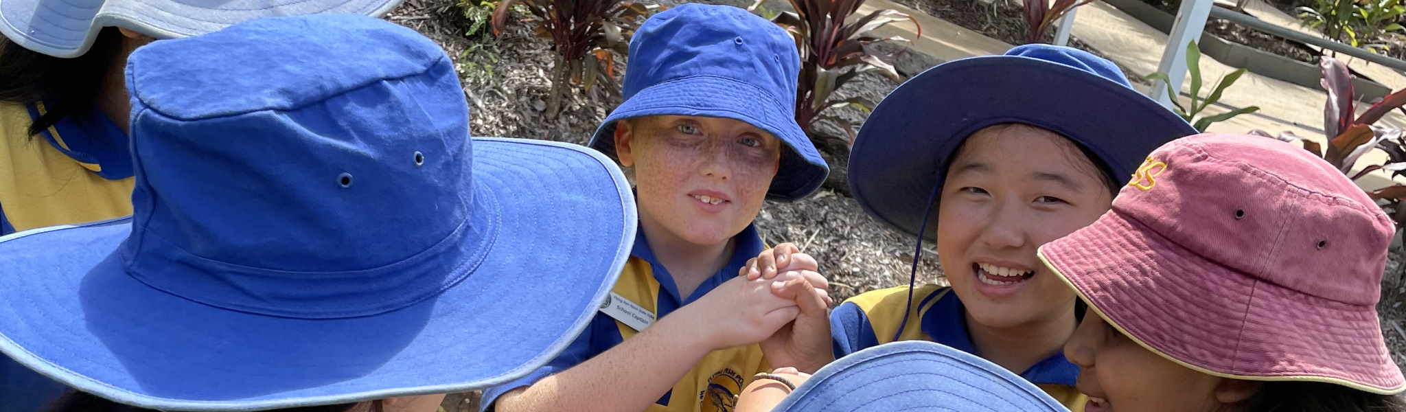 Flying Fish Point State School